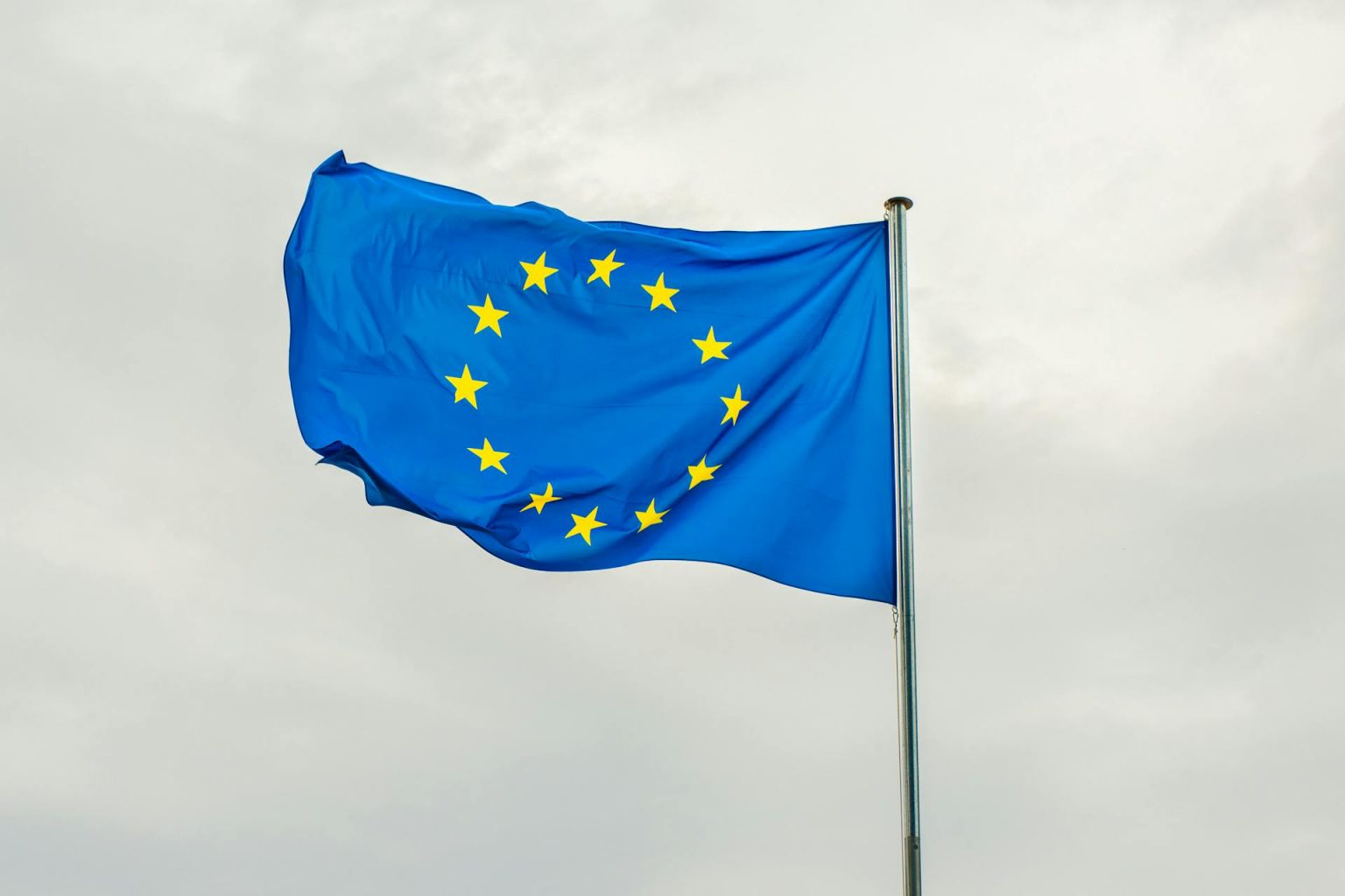 Your Go-To Guide to Documents and Customs for EU and Non-EU Imports ...